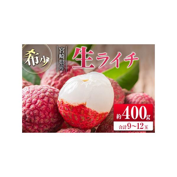 ■ 容量　約400g（9〜12玉）　タイプ：【冷蔵】
