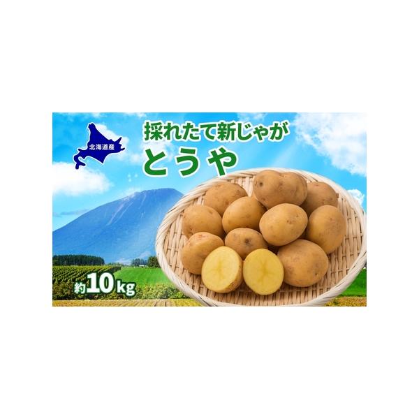 ■ 容量　新じゃがとうや L〜LMサイズ 約10kg　　▼返礼品の地場産品基準　洞爺湖町内で生産されたじゃがいも　■ 配送について　2026年9月中旬より順次出荷　　タイプ：【常温】