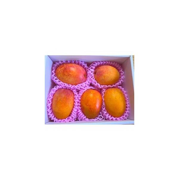 ■ 容量　※上記に記載■ 配送について　2026-07-05〜2026-08-15　タイプ：【冷蔵】