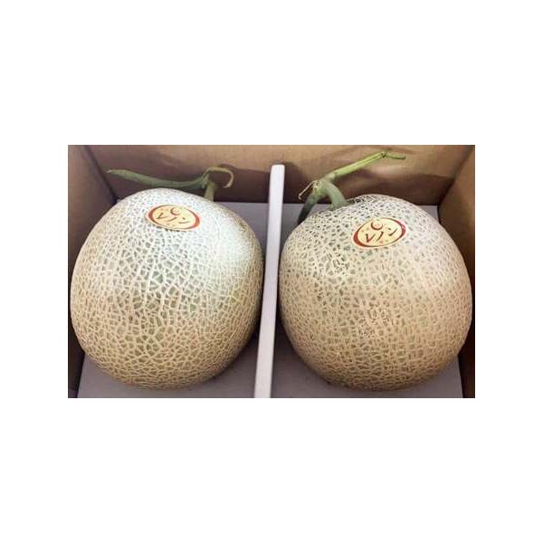 ■ 容量　2玉入り（1玉1.5kg以上×2玉）計3kg以上■ 配送について　寄附確認後、2026年4月下旬〜2026年5月下旬迄順次発送予定　※天候や発送状況により多少前後する場合がございますので、予めご了承ください。　タイプ：【常温】