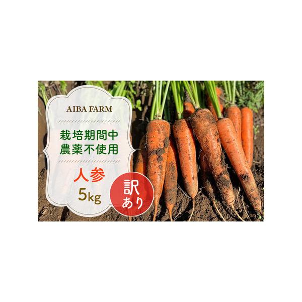 ■ 容量　人参５kg　　原産地：千葉県富里市■ 配送について　例年12月1日〜2月15日頃　※天候や生育状況によりお届けが前後する場合がございます。　　記載の発送時期は目安となりますのでご了承ください。　※北海道への配送は不可です　タイプ：...