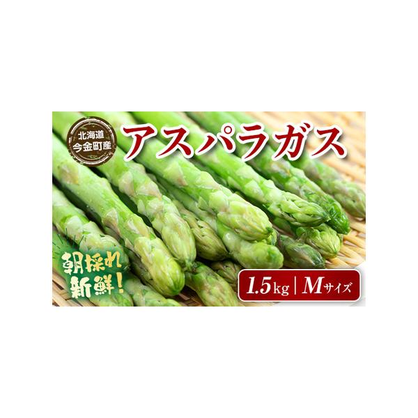 ■ 容量　北海道今金町産グリーンアスパラ 1.5kg（Mサイズ）■ 配送について　2026年3月下旬〜6月中旬または2026年7月上旬〜9月上旬　タイプ：【冷蔵】