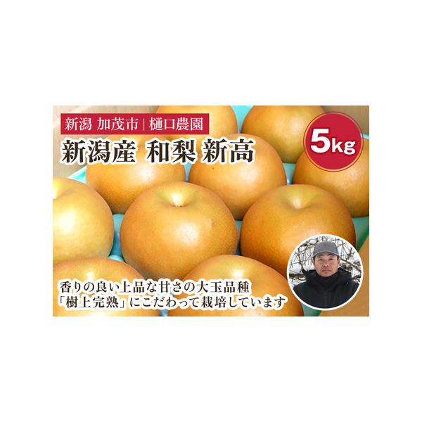 ■ 容量　5kg　玉数の目安：5?9玉　■ 配送について　【申込期日】2026年9月30日まで　【発送時期】2026年10月01日?2026年10月25日　　※年末年始・ゴールデンウィーク・お盆期間などの長期休暇中は、お届けまでにお時間がか...