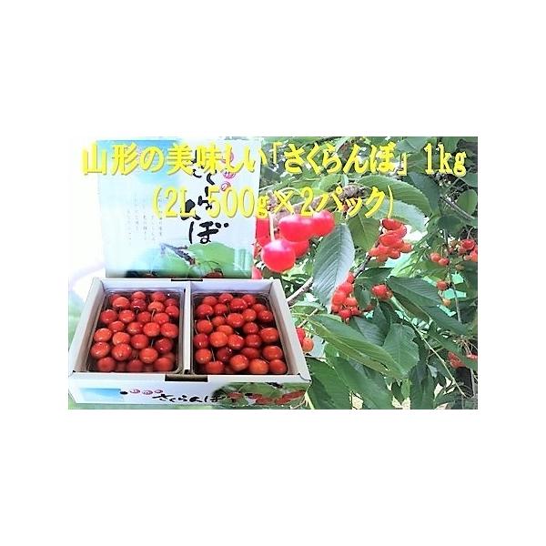 ■ 容量　佐藤錦か紅秀峰　１ｋｇ（５００ｇ×２パック）　２Ｌサイズ　秀品　※品種の指定はできません。　※天候により出荷時期や規格（数、サイズ、品種等）を変更する場合がございます。■ 配送について　２０２６年６月上旬〜６月下旬迄　※ご不在日が...