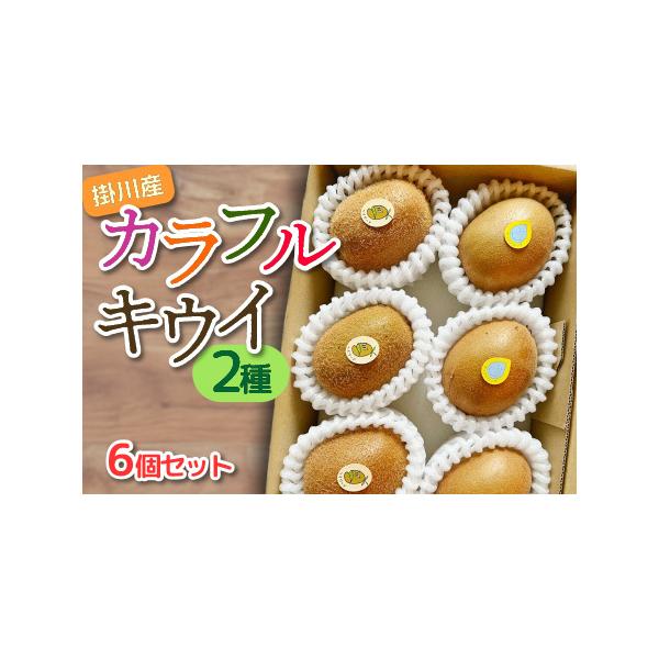 ■ 容量　〇掛川産カラフルキウイ２種・６個セット 　・黄色キウイ【（ティアドロップ、アップルキウイ、ピュアカントリー、ゴールデンイエローのいずれかより）３個】 　・グリーンキウイ3個 　■ 配送について　配送不可地域：北海道・沖縄（離島を含...