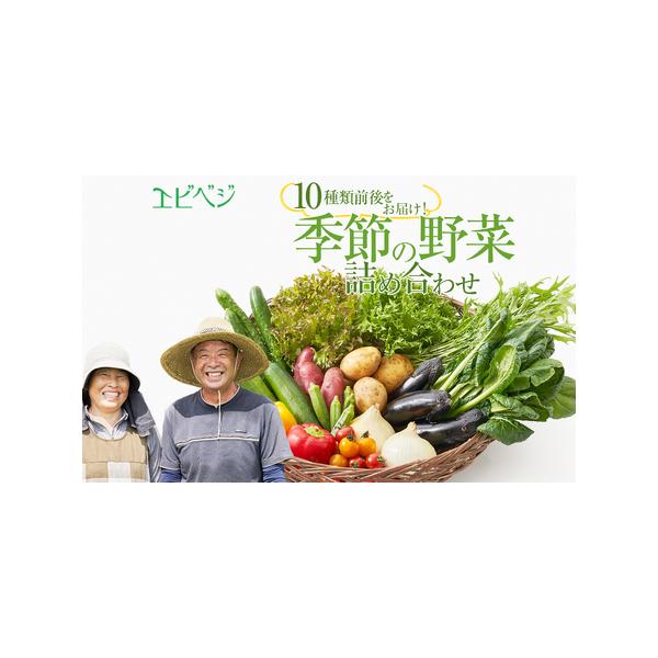 ■ 容量　季節の野菜10種類前後　※季節により野菜の内容が変更となる場合があります。■ 配送について　※入金確認後、1カ月程度での発送になります。　※返礼品の特性上、発送時期が前後する場合がございます。予めご了承ください。　※長期不在のご予...