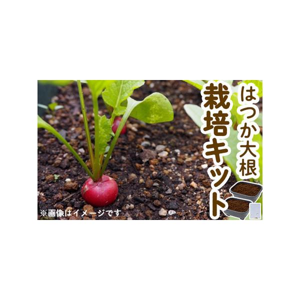 ■ 容量　・花と野菜の培養土：25L（約15kg）　・甘日大根の種　・プランター×2■ 配送について　準備が出来次第、順次発送予定　タイプ：【常温】