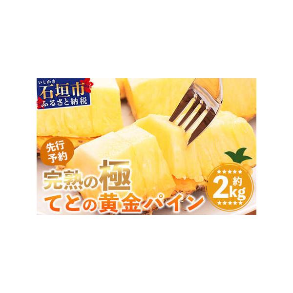 ■ 容量　完熟の極 てとの黄金パイン大玉：1〜2個(約2kg)　※自然の物なので大きさや重さは前後する可能性があります　　■消費期限■　お手元に到着後、冷蔵保存で約7日程度　※生鮮品のためお早めにお召し上がりください。　タイプ：【常温】