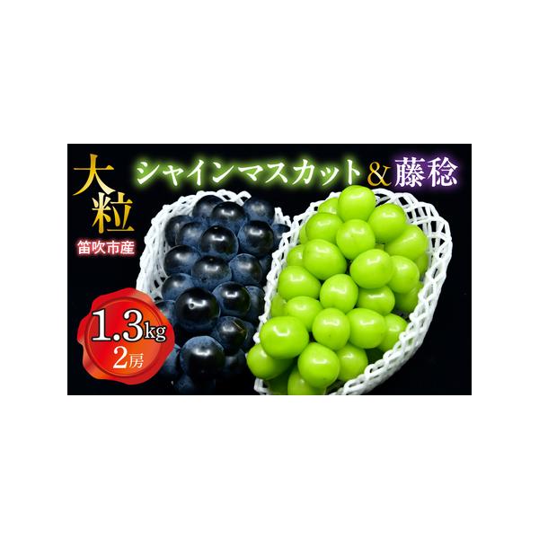 ■ 容量　シャインマスカット・藤稔セット　1.3kg以上(2房)■ 配送について　2026年8月上旬〜9月下旬頃発送　※沖縄・離島への配送はできません　タイプ：【冷蔵】
