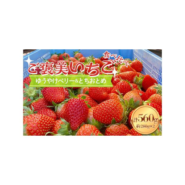 ■ 容量　・ゆうやけベリー 約280g×1パック　・とちおとめ 約280g×1パック　（1パック：9〜16粒）■ 配送について　2026年1月中旬〜4月下旬頃に順次発送　タイプ：【冷蔵】