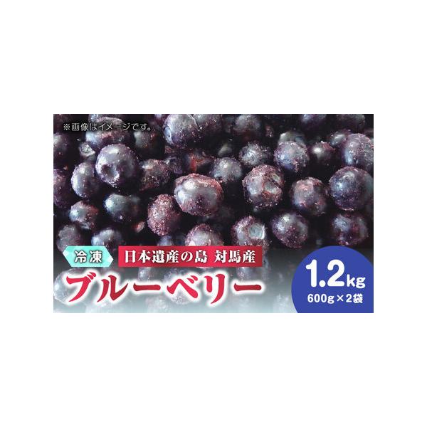 ■ 容量　600g×2袋　　【原料原産地】　長崎県対馬市■ 配送について　2026年7月中旬以降発送　タイプ：【冷凍】