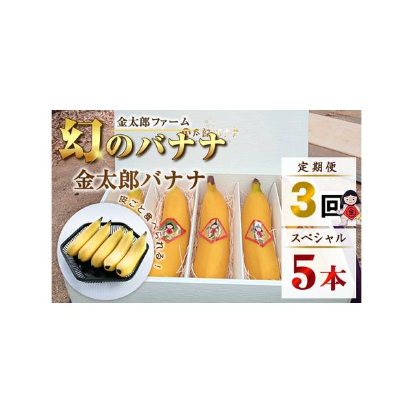 ■ 容量　金太郎バナナ5本（スペシャル）を3回配送■ 配送について　寄附受付後30営業日以内に出荷　　返礼品到着後レビューご記入をお願い致します。　　・寄附申込みのキャンセル、返礼品の変更、返礼品の納期指定、のし対応・返品や返金はできかねま...