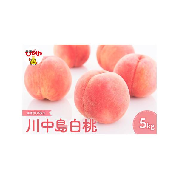 ■ 容量　■容量　もも「川中島白桃」5kg　　■賞味期限　食べごろの桃は傷みやすいため、　少し硬めの状態でお届けしております。　お届けから2〜3日様子を見ながら追熟していただき、追熟後はお早めにお召し上がりください。　　■保存方法　冷蔵で保...
