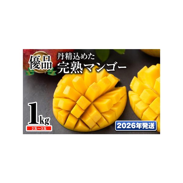 ■ 容量　1kg（2玉〜3玉）　※玉数・大きさは指定できません。　　消費期限：青果物のため冷蔵庫で冷やしてなるべく早めにお召し上がり下さい。　　アレルギー：ウルシ科（マンゴーでアレルギー反応の生じる方はご注意ください。）■ 配送について　申...