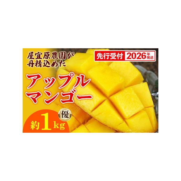 ■ 容量　完熟アップルマンゴー優約1kg（2〜3玉）　※玉数指定はできません。■ 配送について　2026年6月下旬〜7月末頃を予定　タイプ：【冷蔵】