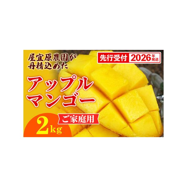 ■ 容量　完熟アップルマンゴーご家庭用 約2kg（4〜6玉）　※玉数指定はできません。　※こちらのマンゴーは、黒い斑点やキズ有り・色・形・不揃いの為、見た目は落ちますが、味や甘さは変わりありません。　ご家庭用としてご賞味ください。　※白箱で...