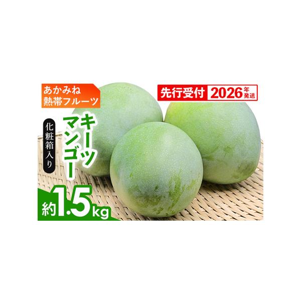 ■ 容量　キーツマンゴー約1.5kg（2〜3個)(化粧箱入)　※玉数の指定はできません。　　アレルギー：ウルシ科■ 配送について　2026年8月中を予定　タイプ：【常温】