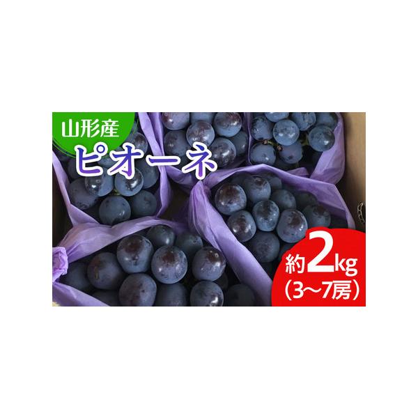 ■ 容量　【令和8年産】　　ピオーネ 秀 2kg(3〜7房)■ 配送について　【申込期日】2026年09月05日まで　【発送期間】2026年08月20日頃〜2026年09月20日頃　※状況により配送時期が前後する場合がございます。(着日指定...