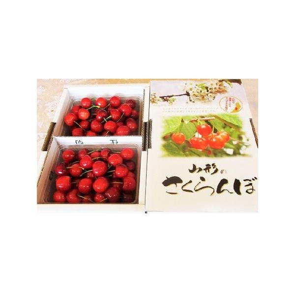 ■ 容量　紅秀峰　８００ｇ（４００ｇ×２パック）　Ｌ〜２Ｌサイズ　秀品以上　※天候により出荷時期や規格（数、サイズ、品種等）を変更する場合がございます。■ 配送について　２０２６年６月下旬〜７月上旬迄　※ご不在日が多く配達が困難な場合、お礼...