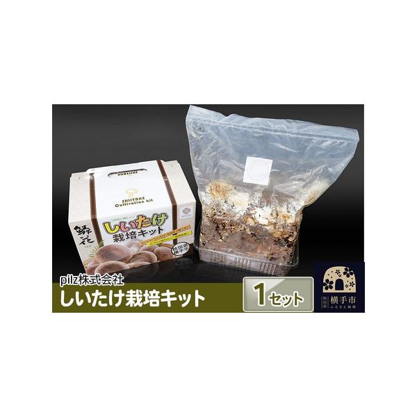 ■ 容量　■名称：しいたけ栽培キット　■内容量：・しいたけ菌床ブロック3kg　・菌床ブロック専用水受トレイ　■産地名：秋田県横手市　■植菌地：秋田県横手市　■注意事項：　※写真はイメージです。　※ふるさと納税（寄附申込み）のキャンセル、返礼...