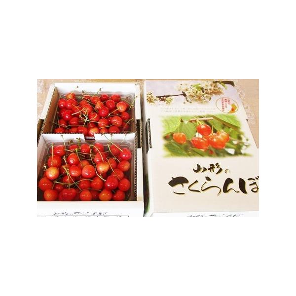 ■ 容量　佐藤錦　８００ｇ（４００ｇ×２パック）バラ詰め　Ｍ〜Ｌサイズ混合品　ご家庭用　※サイズの指定はできません。　※天候により出荷時期や規格（数、サイズ、品種等）を変更する場合がございます。■ 配送について　２０２６年６月上旬〜６月下旬...