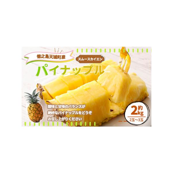 ■ 容量　約2kg（2玉〜3玉)　タイプ：【冷蔵】