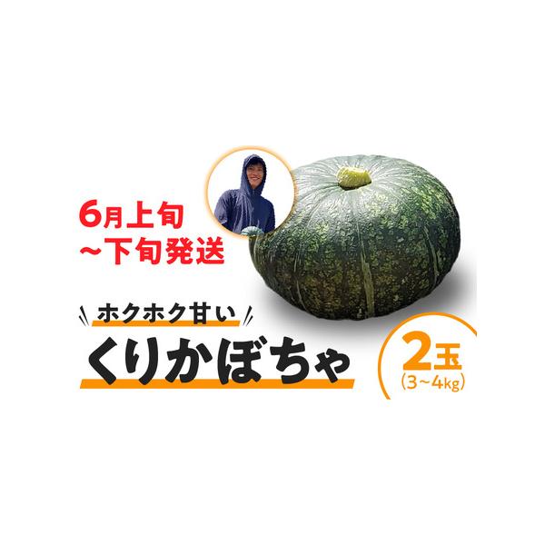 ■ 容量　くりかぼちゃ 2玉（3〜4kg）×1箱　---------------------------------------------------　【賞味・消費期限】　冷暗所で3週間程度　　【保存方法】　冷暗所　　【該当するアレルギー...