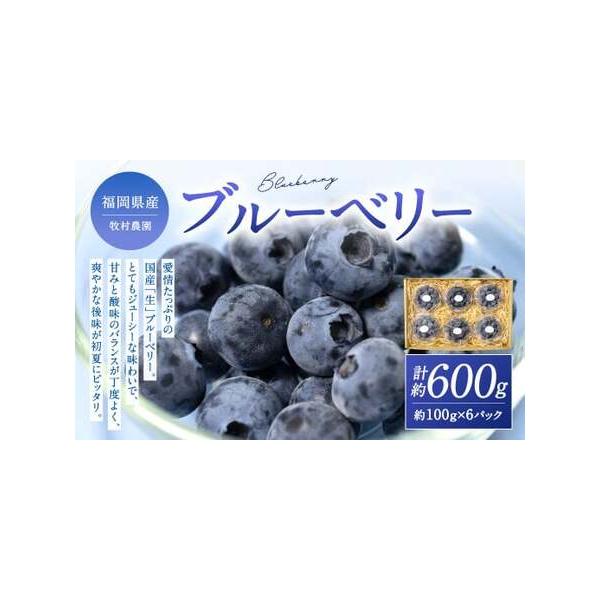 ■ 容量　100g×6パック■ 配送について　2026年6月上旬より順次発送予定　タイプ：【冷蔵】