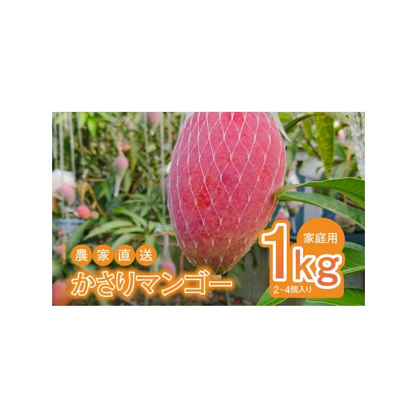■ 容量　かさりマンゴー家庭用 1kg（2〜4個）　---------------------------------------------------　【賞味・消費期限】　冷蔵で2週間程度　　【該当するアレルギー特定原材料等】　特定原材...