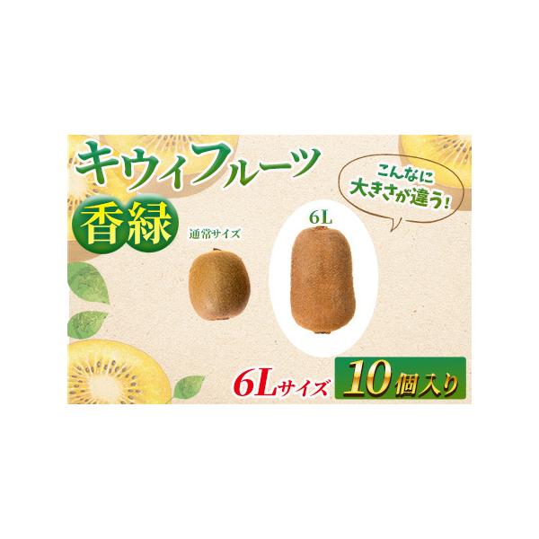 ■ 容量　6Lサイズ 10個■ 配送について　ご入金確認後、30営業日以内に出荷　　返礼品到着後レビューご記入をお願い致します。　　・寄附申込みのキャンセル、返礼品の変更、返礼品の納期指定、のし対応・返品や返金はできかねます。　・商品到着後...