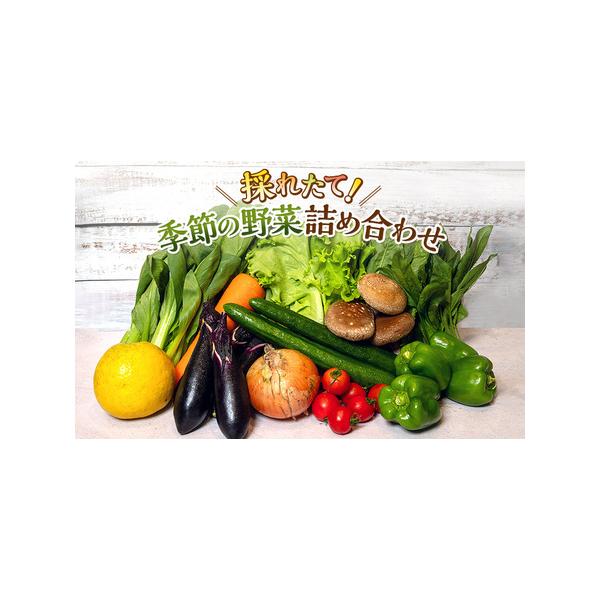 ■ 容量　ジャガイモ、人参、大根、小松菜、白ネギ、グリーンリーフ、チンゲン菜、菌床椎茸、トマト、水菜、葉ネギ　等 季節の野菜8品前後　　タイプ：【冷蔵】
