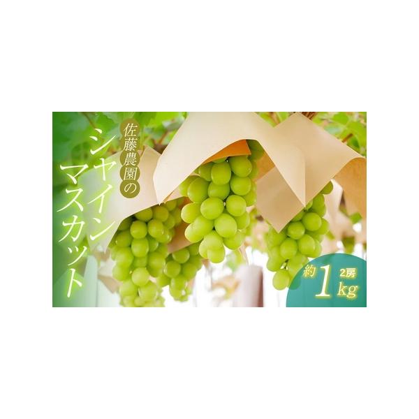■ 容量　シャインマスカット 約1kg(2房)　　【産地名】鶴岡市櫛引産　【提供事業者】 佐藤農園　　【賞味(消費)期限】冷蔵で約1週間　※生もののため到着後はお早目にお召し上がりください。　　■ 配送について　【申込期日】令和8年9月10...