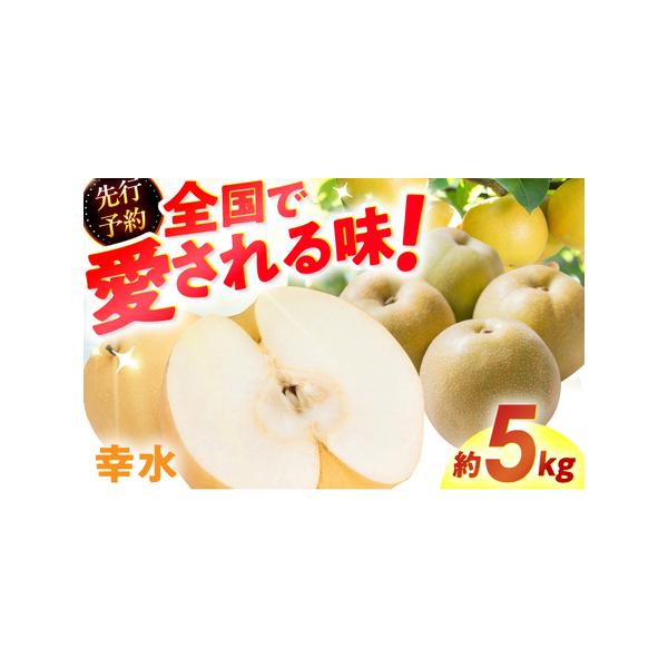 ■ 容量　梨（幸水）5kg(９玉-12玉)×1ケース■ 配送について　2026年7月下旬より順次発送開始　タイプ：【冷蔵】