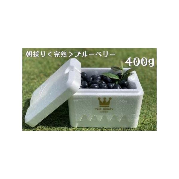 ■ 容量　400g■ 配送について　2026年4月下旬〜6月に発送します。　※生産の都合で前後する場合があります。　タイプ：【冷蔵】