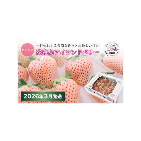 ■ 容量　1箱2パック入り(1パック250g) 　　サイズL〜4L(1パック6〜15粒) 　　　消費期限：出荷日から5日　　アレルギー表示：いちごアレルギーの方はご遠慮ください。　　配送方法：冷蔵　■ 配送について　2026年3月発送・お届...