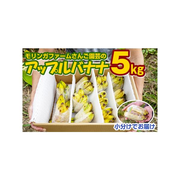 ■ 容量　アップルバナナ5kg　　消費期限：到着後から約1週間　青果物のため、追熟後は早めにお召し上がりください。　　アレルギー：バナナ■ 配送について　申込期日：通年対応（※期間によって変動）　発送期日：寄附受付より約1ヶ月〜4ヶ月　　【...