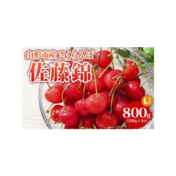 ■ 容量　【令和8年産】　さくらんぼ 佐藤錦  Lサイズ 800g(200g×4P)■ 配送について　【申込期日】2026年05月25日まで　【発送期間】2026年06月05日頃〜2026年06月25日頃　※状況により配送時期が前後する場合...