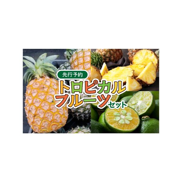 ■ 容量　ピーチパイン2玉（1.5kg以上）・フルーツキャップ掛け　島パイン2玉（1.5kg以上）　シークヮサー約500g　タイプ：【常温】