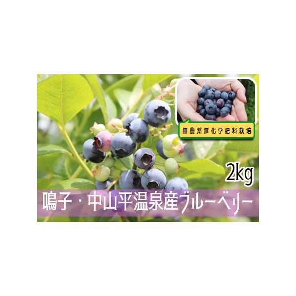 ■ 容量　【お礼の品内容】ブルーベリー　【内容量・個数】2kg（1kg×2P）　【消費期限】1ヶ月　【保存方法】冷凍　【お届け状態】冷凍■ 配送について　【発送目安】決済から14日前後　タイプ：【冷凍】