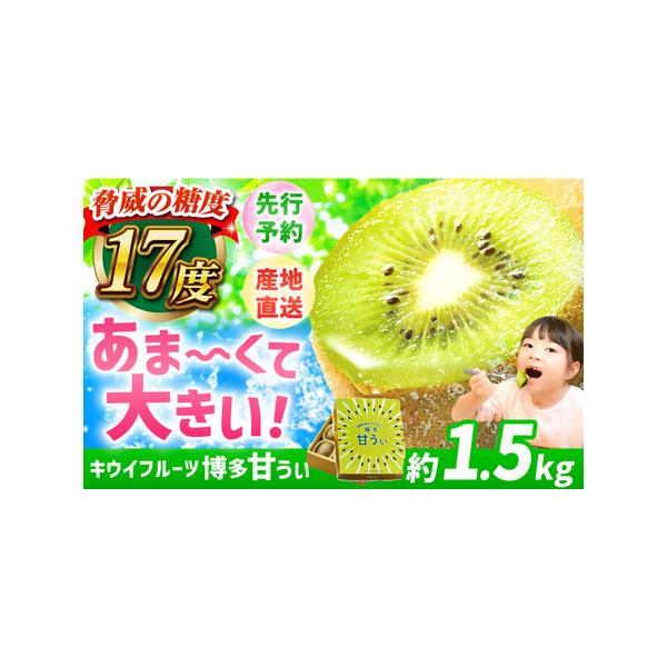 ■ 容量　約1.5kg（9玉）■ 配送について　2026年11月上旬から順次発送予定 　タイプ：【冷蔵】