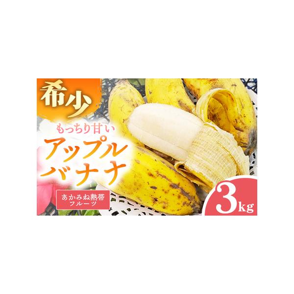 ■ 容量　アップルバナナ約３Kg　　アレルギー：バナナ■ 配送について　準備でき次第、お申し込み順にて発送いたします　タイプ：【常温】