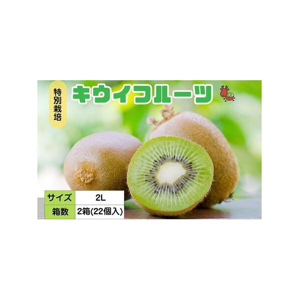 ■ 容量　2Lサイズ 11個入×2箱 1個あたり138ｇ前後　■ 配送について　12月~3月にかけて順次発送予定　　タイプ：【常温】