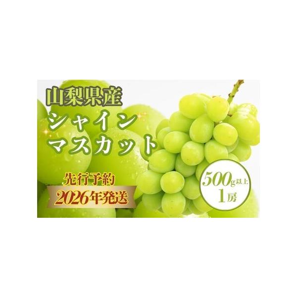 ■ 容量　シャインマスカット500g以上（1房）　タイプ：【冷蔵】