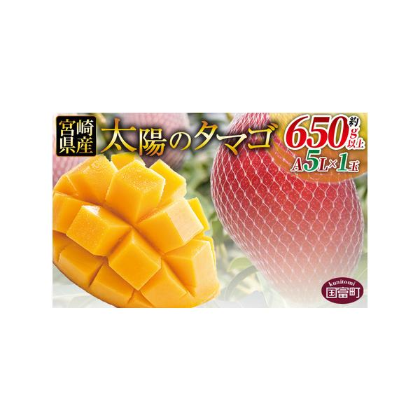 ■ 容量　5Lサイズ×1玉（約650g）■ 配送について　入金確認後、2026年4月上旬〜6月末迄に順次出荷　タイプ：【冷蔵】