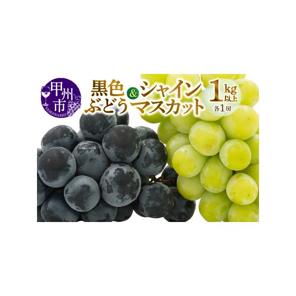 ■ 容量　葡萄2房入り2色セット 1kg以上　・シャインマスカット　・黒系葡萄（巨峰・ピオーネ・ブラックビート・甲斐キング・甲斐の黒丸・藤稔など）　　【申込期日】　2026年8月下旬頃まで　【消費期限】　到着次第、お早めにお召し上がりくださ...