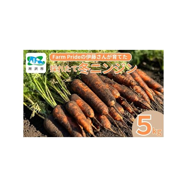 ■ 容量　■内容量　5kg　(スーパーで見る人参の30本分くらいの量です)　等級：S.SSサイズ　※小さめなので、料理しやすく、カットの工程が少なく済みます！　　■賞味期限　2〜3ヵ月　　■保存期間　キッチンペーパーまたは新聞紙等で包んでポ...