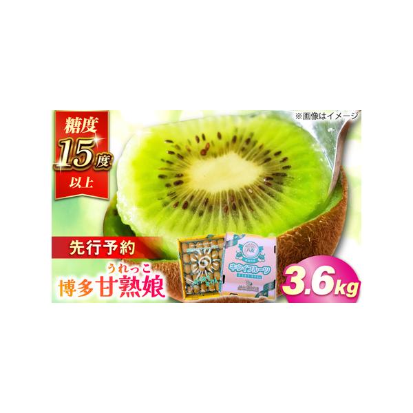 ■ 容量　約3.6kg（30玉-36玉）　※個数は目安です。生育状況により変動します。■ 配送について　2026年1月中旬より順次発送　タイプ：【冷蔵】