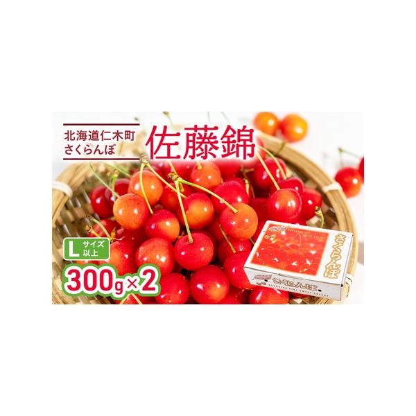 ■ 容量　さくらんぼ【佐藤錦】　Lサイズ以上　300g×2パック　産地：北海道仁木町　※賞味期間：発送から3日程度　　※ふるさと納税返礼品地場産品基準(平成31年総務省告示第179号第5条)のうち該当する類型について　仁木町内において生産さ...
