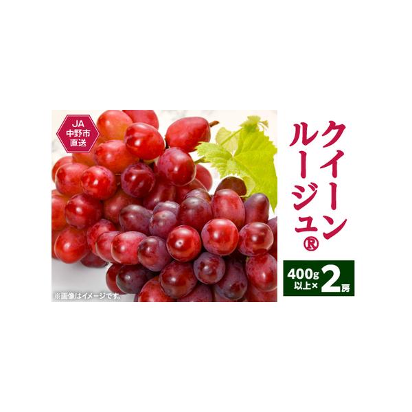 ■ 容量　※上記に記載■ 配送について　2026/09/18〜2026/10/30　タイプ：【冷蔵】