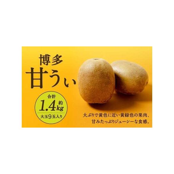 ■ 容量　約1.4kg（大玉9玉入り） ■ 配送について　2026年10月下旬〜11月下旬発送予定　タイプ：【常温】